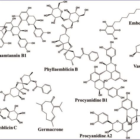 Chemical Structure Of Bioactive Phytochemicals From Different Medicinal Download Scientific