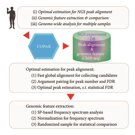 flowchart for optimal peak alignment estimation and genomic feature