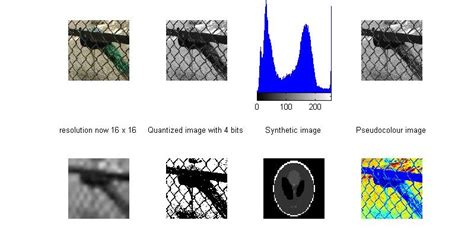 MATLAB CODES Red Chaneel Image Quantized Image With Bits Synthetic Image Pseudocolor