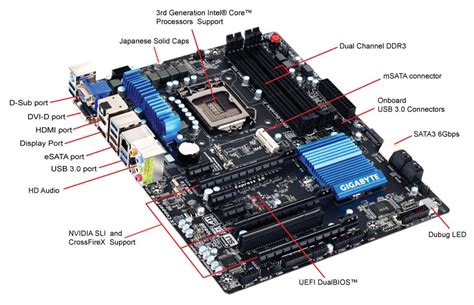 Motherboard Components Labeled At Cindy Austin Blog