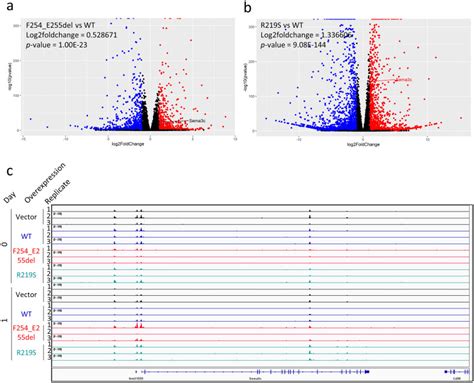 Clinically Observed Foxa1 Mutations Upregulate Sema3c Through