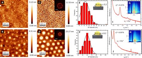 amplified eqcm d detection of extracellular vesicles using 2d gold