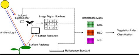Vegetation Monitoring Using Multispectral Sensors — Best Practices And Lessons Learned From High