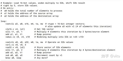 Riscv V扩展（二）vector指令文档 知乎