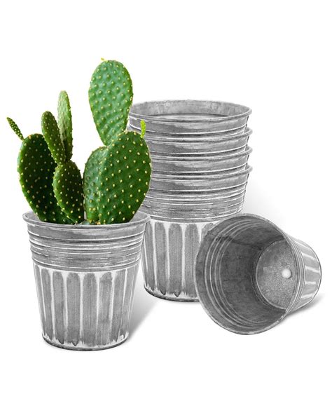 Galvanized Pots