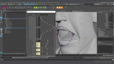Rigging The Jaw With Python In Maya The Gnomon Workshop