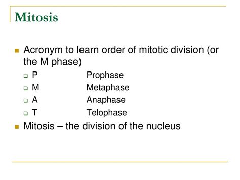 Cellular Division Ppt Download