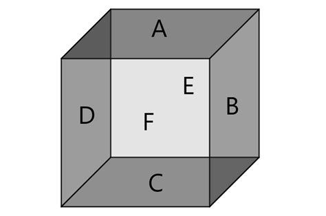 draw a graph whose vertices represent the faces of a cube an quizlet