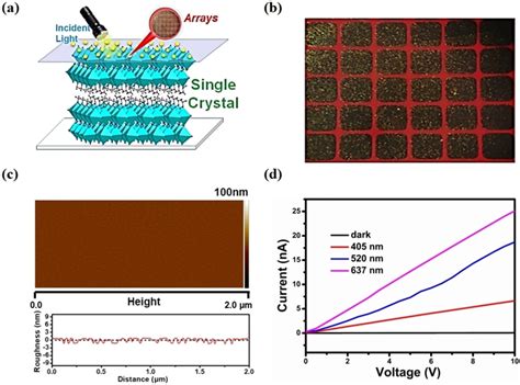 A Schematic Diagram And B Photo For The Planar Array Electrode