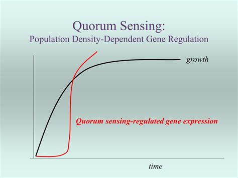 Ppt Social Behaviors And Bacterial Quorum Sensing Powerpoint Presentation Id 25996