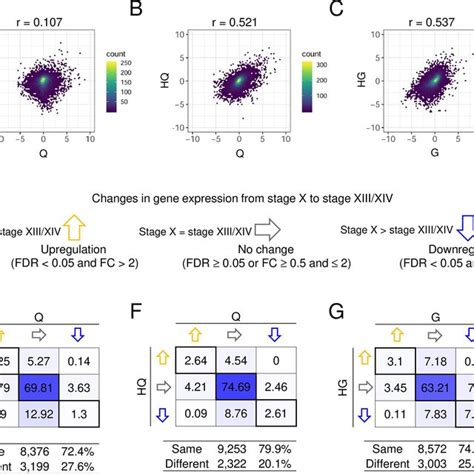 Chromosome Analysis Of Chicken Quail F 1 Hybrids A Giemsa Stained Download Scientific Diagram