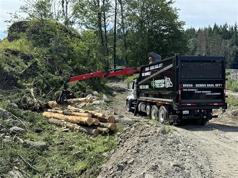 Tree Risk Assessment In Bunk Foss WA