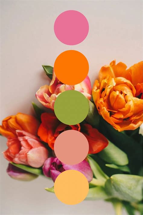Spring Color Palette Ideas Spring Color Palette Spring Colors Color Palette