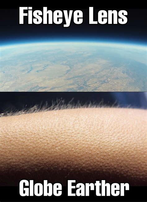 Shook R Globeskepticism