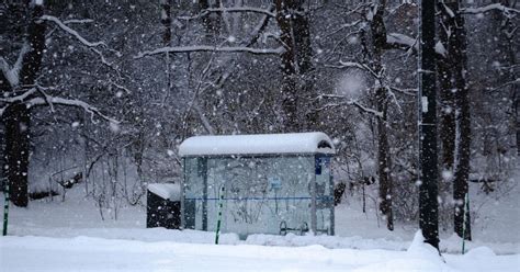 3 Men 1 Teen Charged With Assault After Incident On Ltc Bus Near Campus News Westerngazette Ca