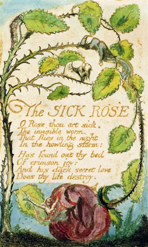 The Sick Rose From Songs Of Innocence By William Blake