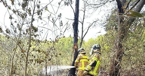 전북 순창군 주택 뒤 대나무밭서 화재…80대 여성 화상