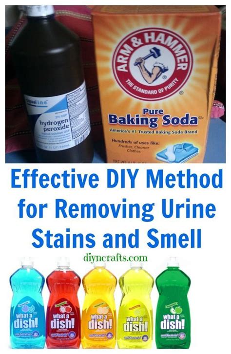 Effective Diy Method For Removing Urine Stains And Smell Recipe Artofit