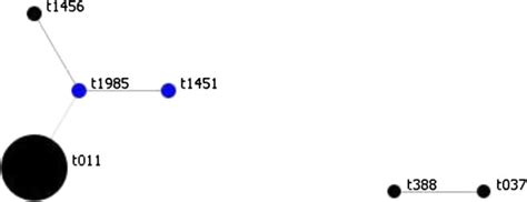 clustering of spa types performed using based upon repeat pattern