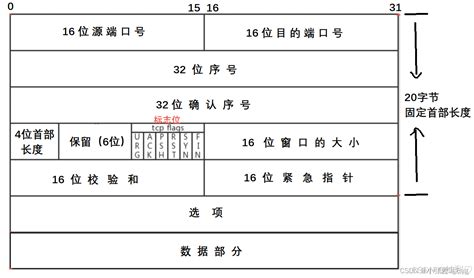 tcp协议 tcp报文长度 csdn博客