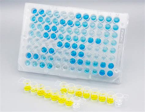 Ivd Development Invent Diagnostica