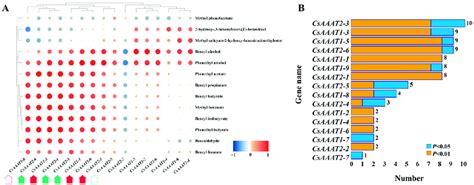 Correlation Analysis Between FPKM Of CsAAAT Genes And VB VP Content Download Scientific
