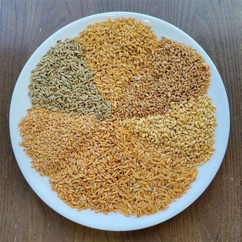 Wheat Berries Deciphered Unlocking The Secrets Of Flour Varieties