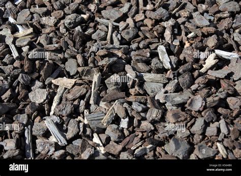 Bark Chippings Garden High Resolution Stock Photography And Images Alamy
