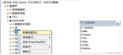 【sql Server】华中农业大学空间数据库实验报告 实验六 视图 Csdn博客