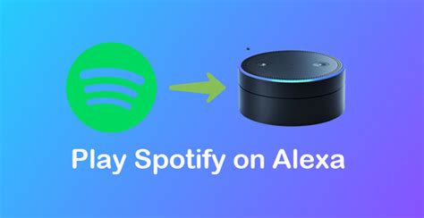 How To Play Spotify On Alexa AudBite