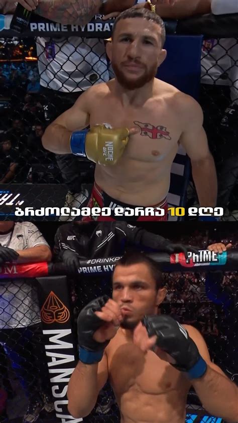 Fight Night Georgia Say Hello To The Champion 👑🇬🇪 მიესალმეთ ჩემპიონს 👑🇬🇪 Ufc Mma