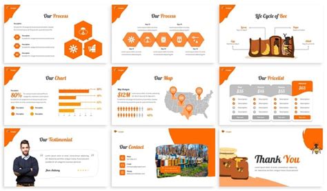 Honeybee Beekeeping Powerpoint Template Incl Hive And Nature Envato
