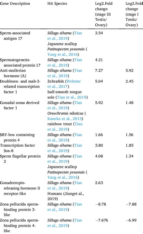 Differentially Expressed Genes Involved In Gonadal Differentiation And