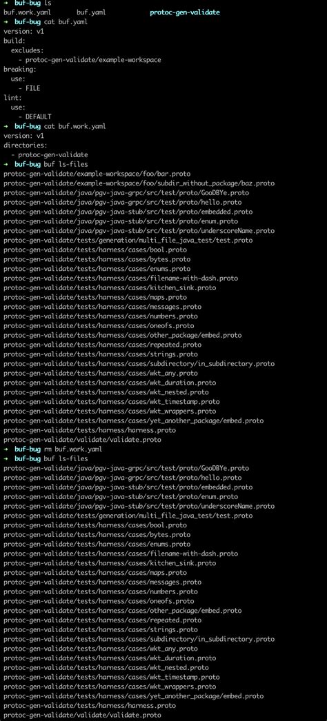 build roots is not respected when workspace in use · issue 1620