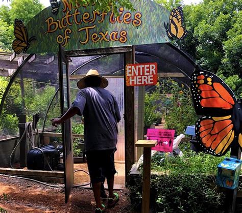Butterfly Habitat In Texas At Mark Cortese Blog