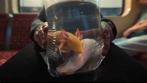 Bardo Mark Woollen And Associates