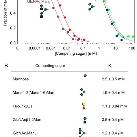 Solid Phase Binding Competition Assays Download Scientific Diagram