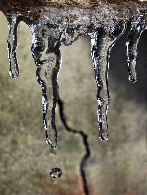The Drip Shutterbug