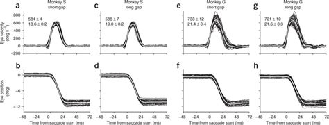 Oculomotor Execution During The Compelled Saccade Task Ab Eye