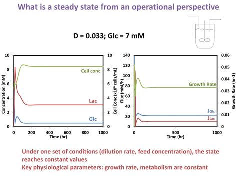 Ppt Multiplicity Of Steady States In Continuous Culture Of Mammalian
