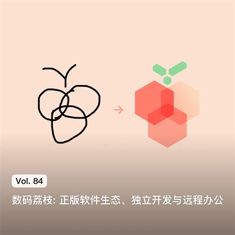 Vol 数码荔枝 正版软件生态独立开发与远程办公 枫言枫语