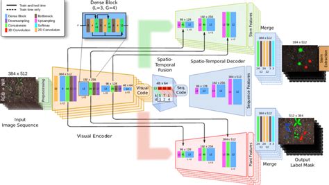 architecture for the joint sequential stem and crop weed classification