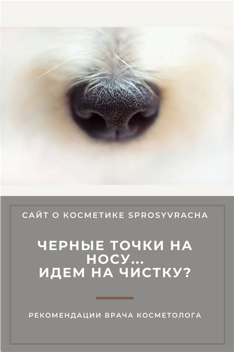 Как избавиться от черных точек на носу Чернила Косметолог Типы кожи