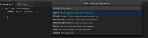 【vscode】python の実行環境を構築する【git Bash に 差し替えwindows版】 Kazupon研究室