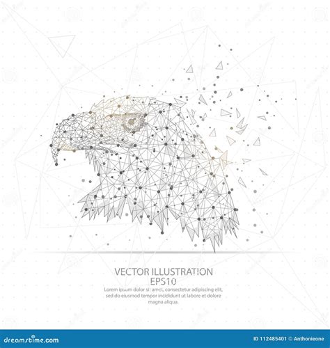 Digitally Drawn Eagle Head Low Poly Wire Frame Stock Vector Illustration Of Beak American