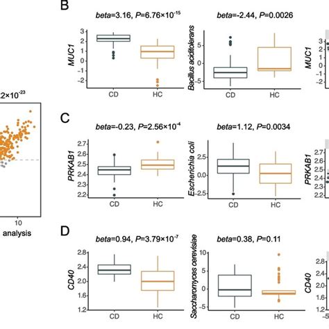 Three Step Smr Analysis Prioritized Putative Causal Os Genes And