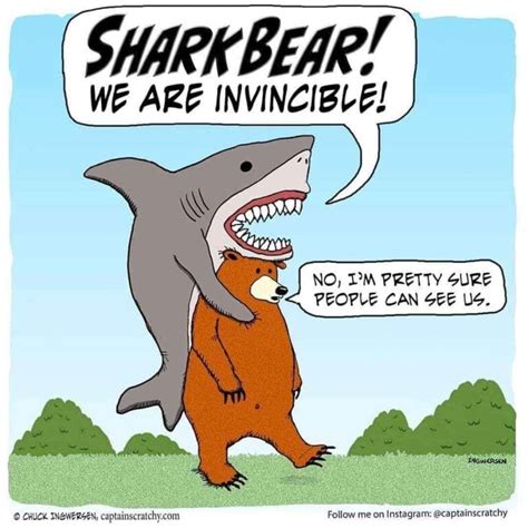 40 Bear Themed Memes For Those Who Cant Get Enough Of These Furry Giants