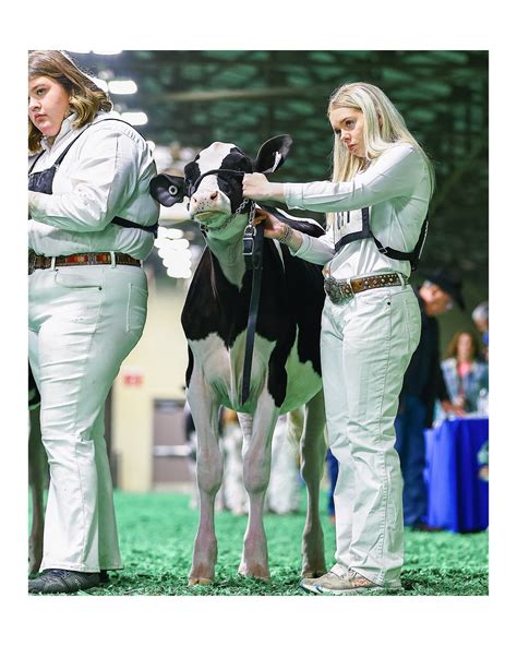 Fort Worth Stock Show And Rodeo Mark Your Calendars Not One Not Two But Three Fwssr Qualifier