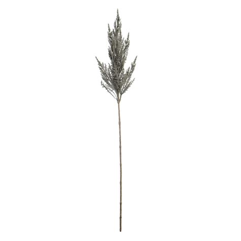 Grey Pampas Grass Stem 32