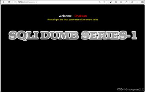 Sqli Labs通关笔记 第01关 Get字符型注入单引号闭合 手工注入脚本注入两种方法 Csdn博客